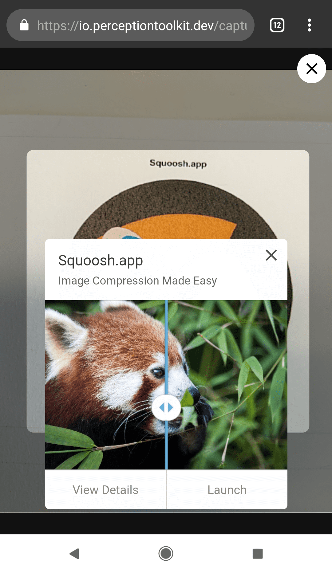 Visual searching with the Web Perception Toolkit | Articles | web.dev