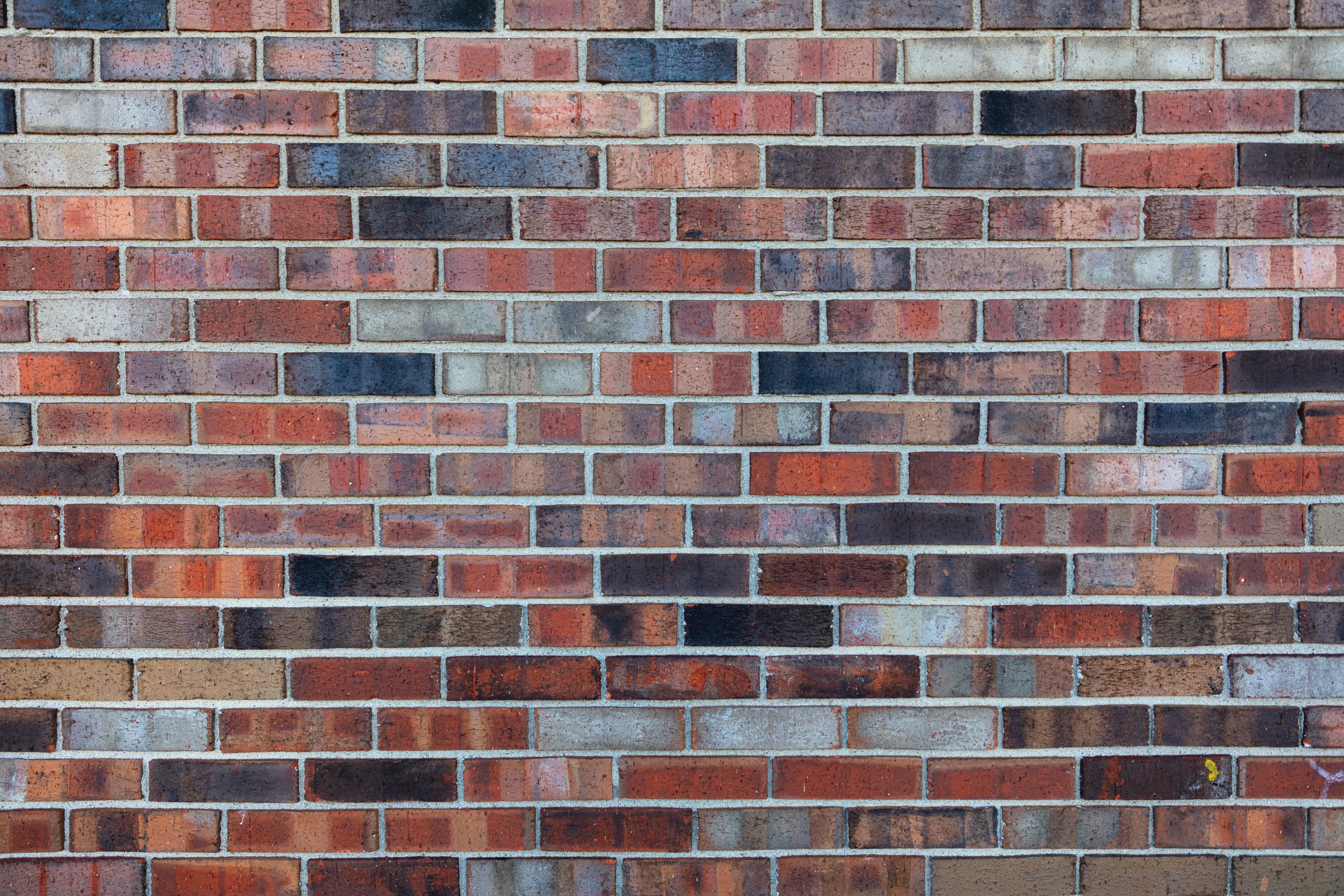 Interop 2022: browser bekerja sama untuk meningkatkan kualitas web bagi developer | Blog | web.dev