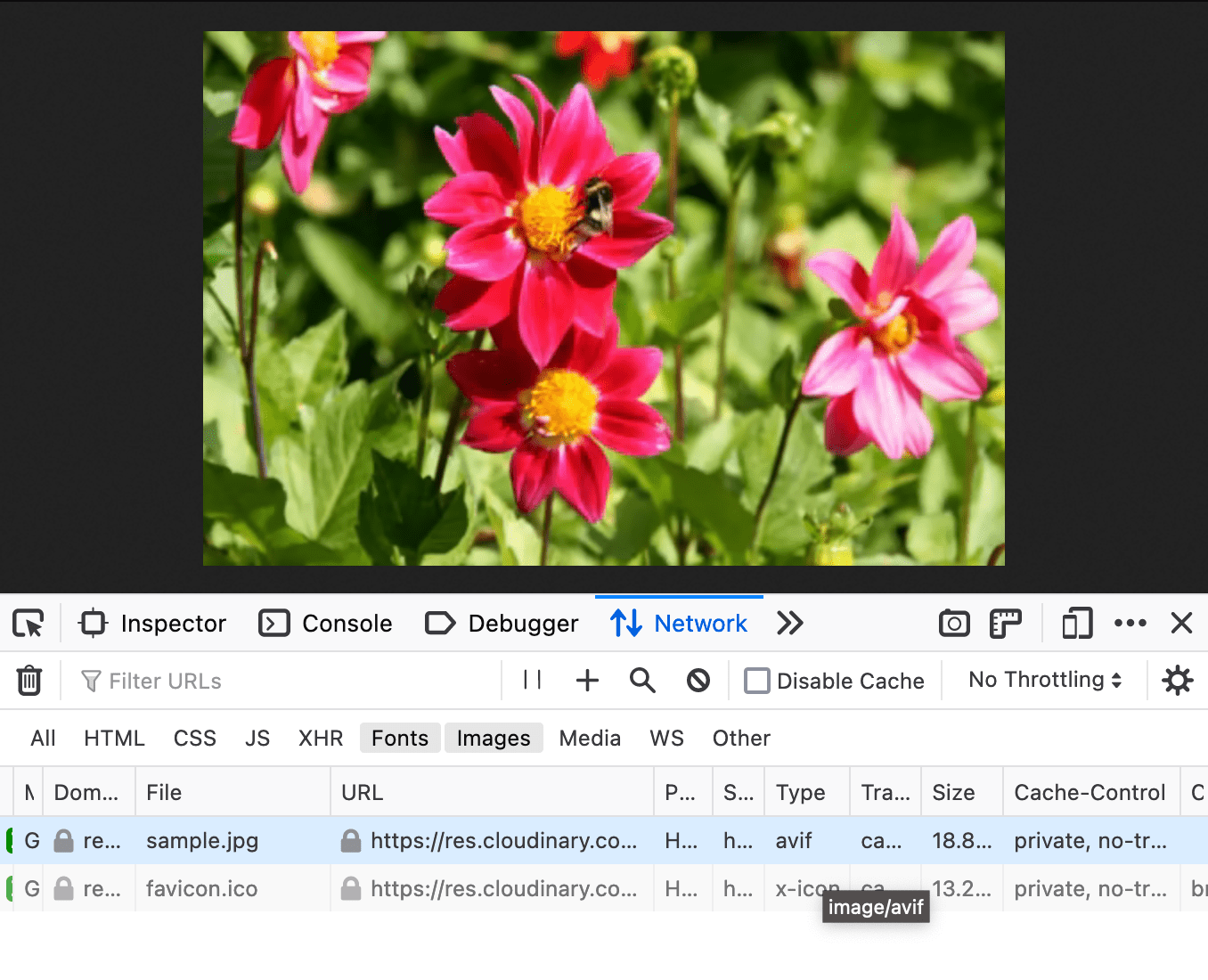 Image content delivery networks | web.dev